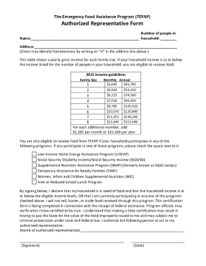 Fillable Online 2020 tefap authorized rep form english 003.pdf Fax ...