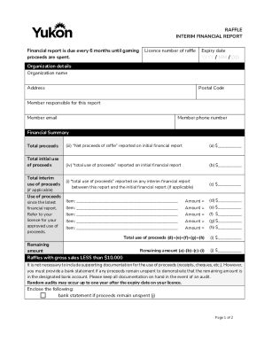 Fillable Online Raffle Financial Statement Fax Email Print - pdfFiller