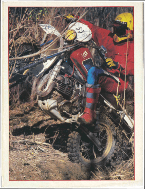 Fillable Online 4 digit zip code extension lookup. 4 digit zip code ...