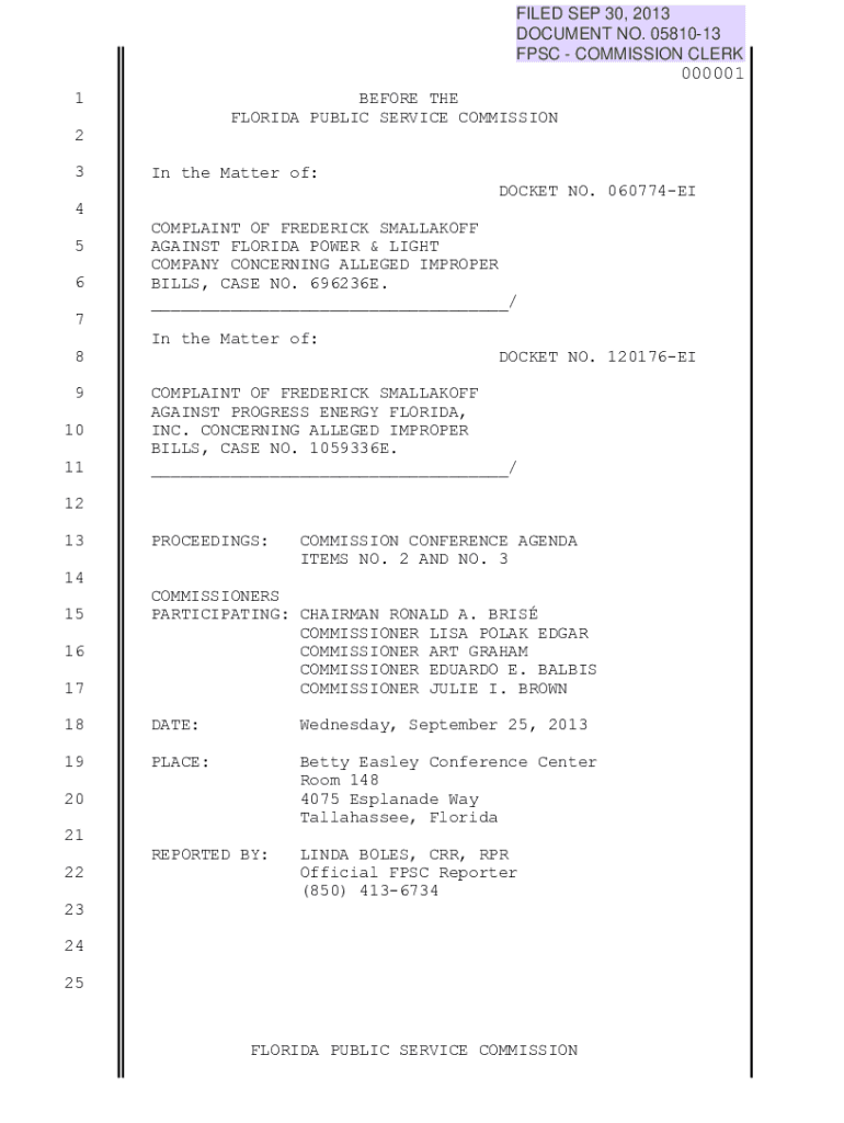 Fillable Online DOCKET NO. 060774-EI COMPLAINT Fax Email Print - pdfFiller