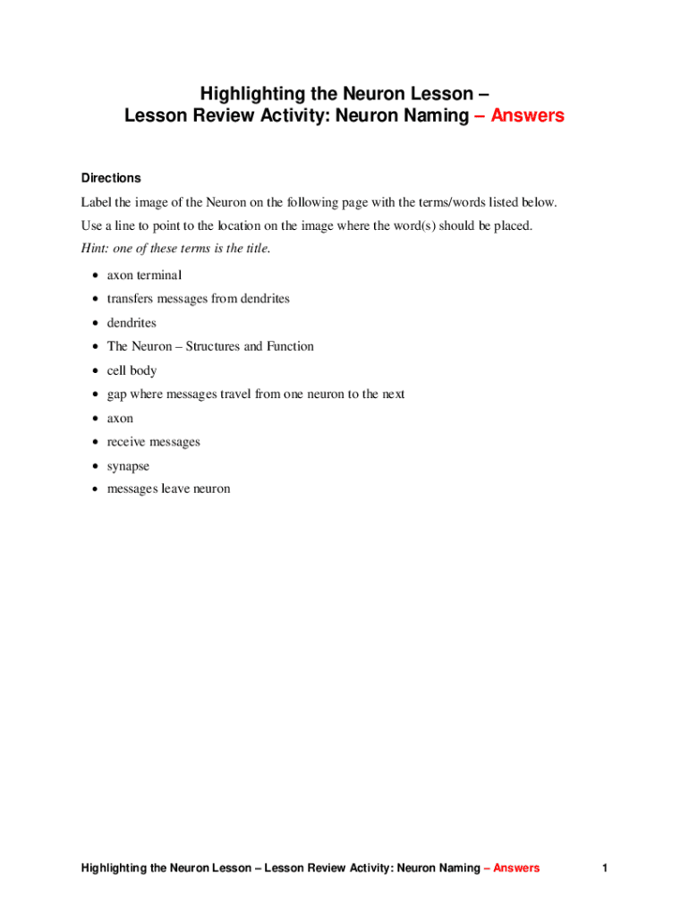 Fillable Online Anatomy of a Neuron Review Worksheet 1 .docx - Name Fax ...
