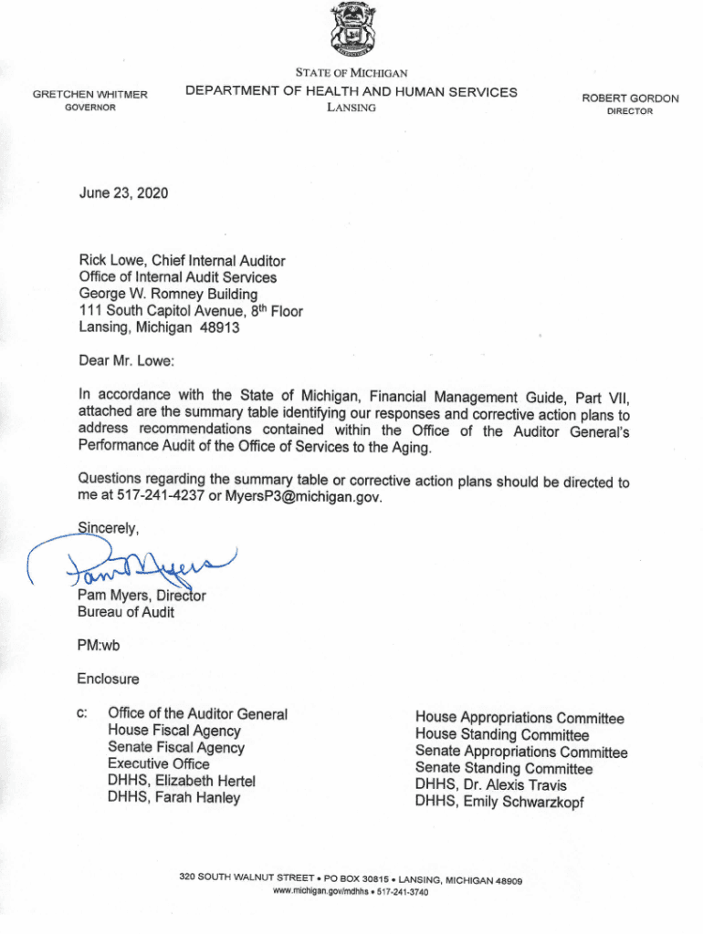 Fillable Online audgen michigan Agency's plan to comply with audit ...