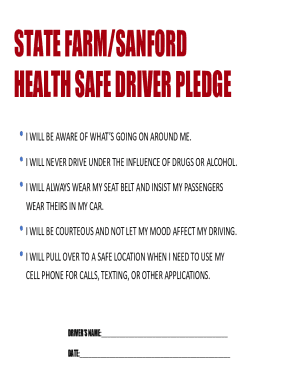 Fillable Online Safe driver pledge.docx Fax Email Print - pdfFiller
