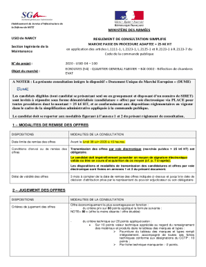 Remplissable En Ligne RGLEMENT DE CONSULTATION (RC) Phase Candidature ...