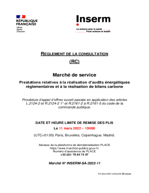 Fillable Online Rglement de Consultation (RC) Appel d'Offres Ouvert n 1 ...