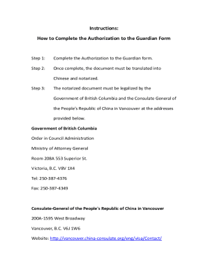 Fillable Online Required Information for Consular Authentication ...