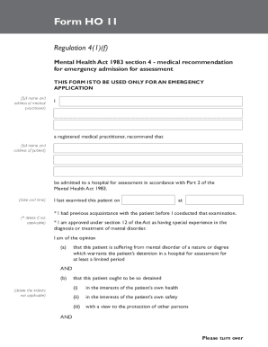 Fillable Online MENTAL HEALTH FORM HO 11 Fax Email Print - pdfFiller