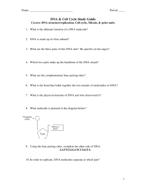 Fillable Online DNA structure/replication, Cell cycle, Mitosis, & prior ...