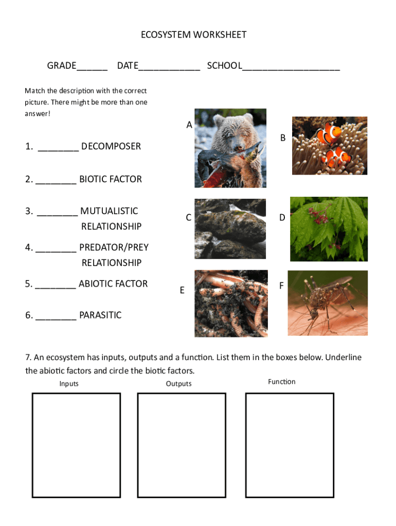 Fillable Online ECOSYSTEM WORKSHEET Fax Email Print - pdfFiller