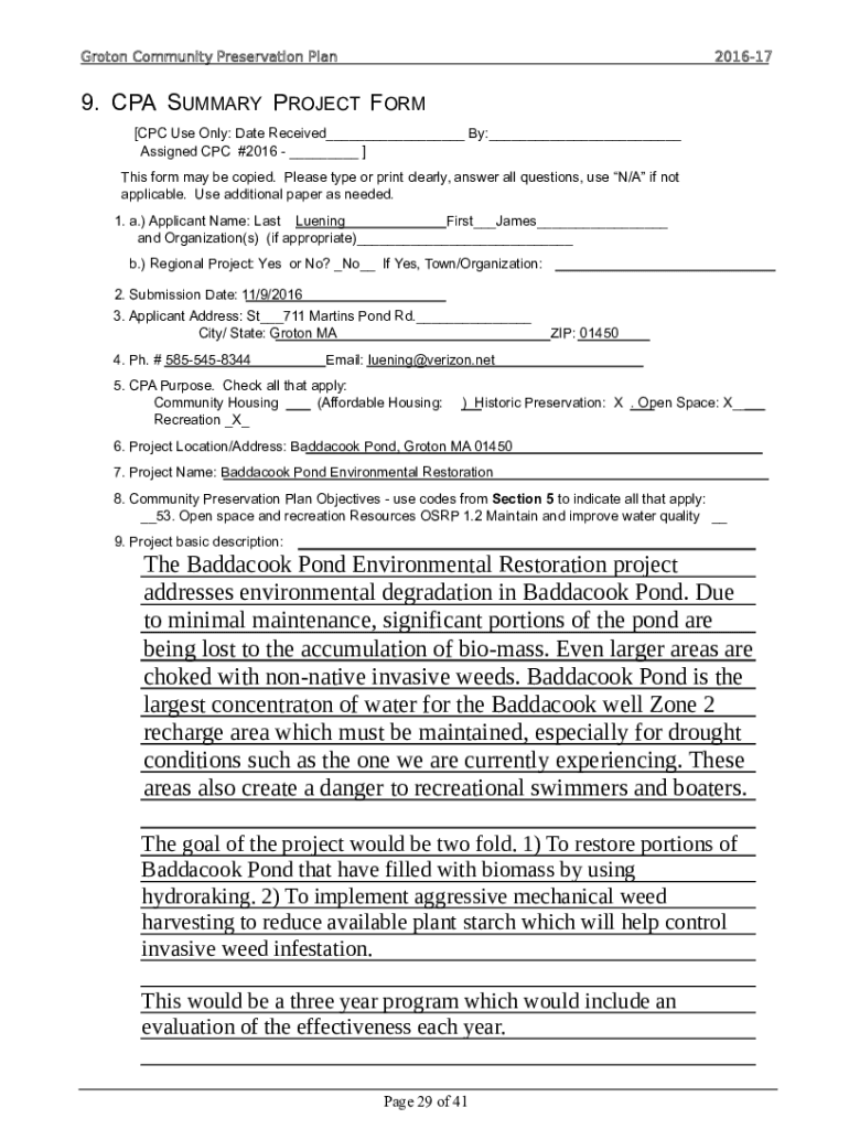Fillable Online 9. cpa summary project form Fax Email Print - pdfFiller