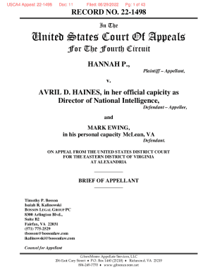 Fillable Online HANNAH P., Plaintiff-Appellant, v. AVRIL D. HAINES, in ...