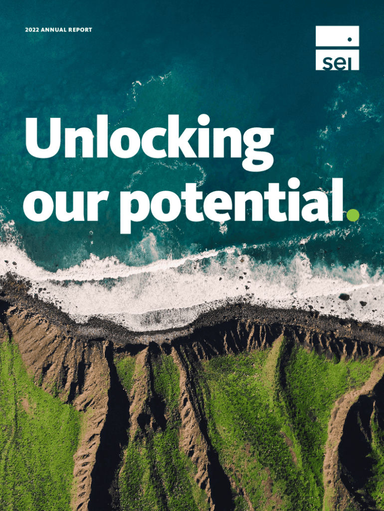 Fillable Online Oaks-based SEI Investments Finds New CEO in Ryan ...