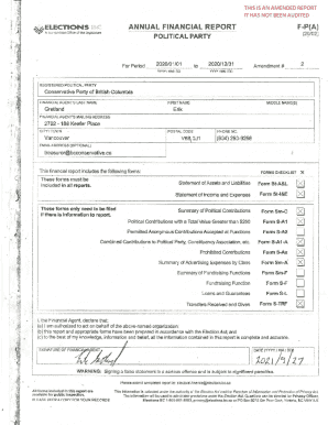 Fillable Online Political-Parties-Statement-of-Accounts-Guidelines ...