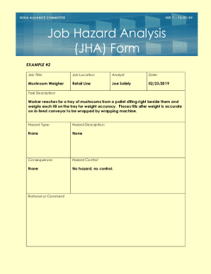 Fillable Online basic job hazard analysis form Fax Email Print - pdfFiller