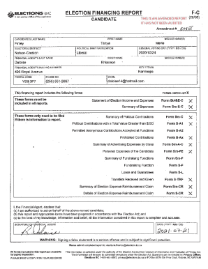 Fillable Online . Statement of Election Income and Expenses Candidate ...