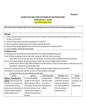 Fillable Online Safe-sleep-action-evaluation-plan-all-projects. ... Fax ...