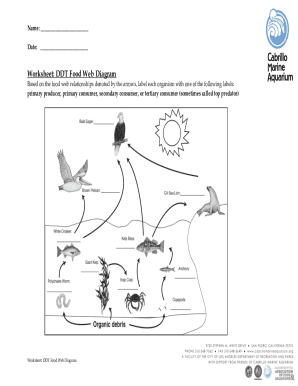 Fillable Online Worksheet: DDT Food Web Diagram Fax Email Print - pdfFiller