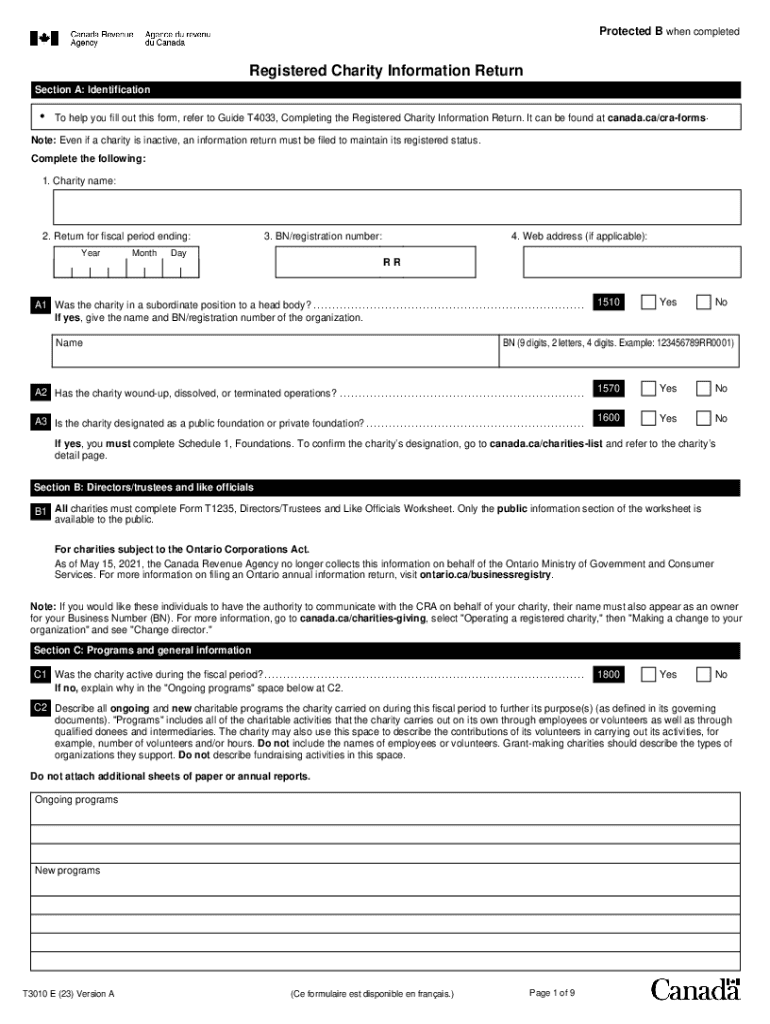 Fillable Online T4033 Completing the Registered Charity Information ...