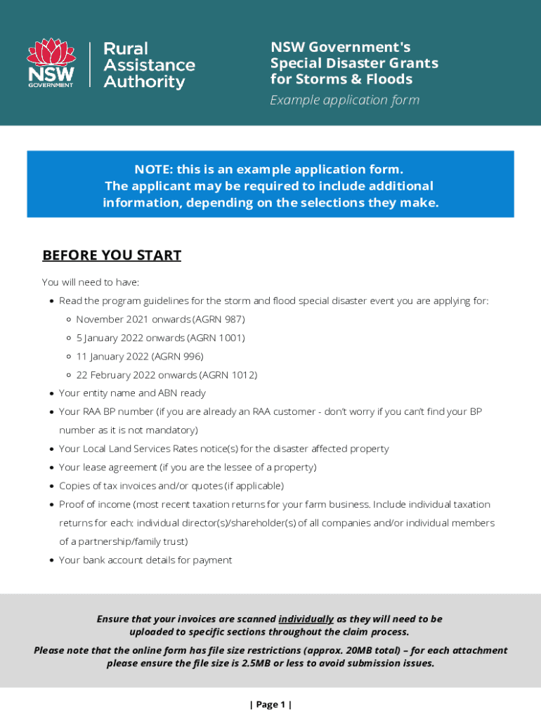 Fillable Online Special Disaster Grant Example Online Application Form ...