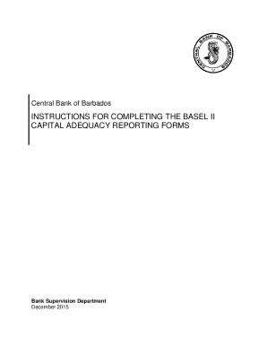 Fillable Online INSTRUCTIONS FOR COMPLETING THE BASEL II CAPITAL ...