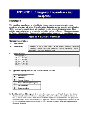 Fillable Online 1915(c) Appendix K Template Fax Email Print - pdfFiller