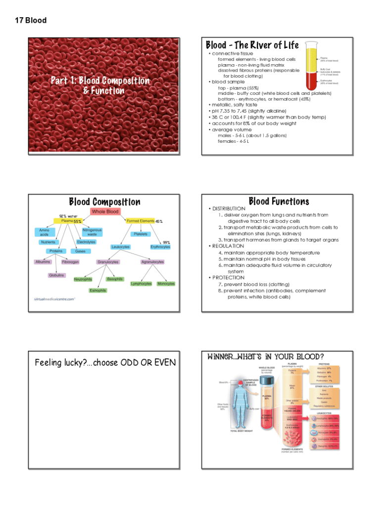 Fillable Online The River of Life Blood Composition Blood Functions Fax ...