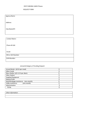 Fillable Online EFSP FUNDING CARES Phases REQUEST FORM Fax Email Print - pdfFiller