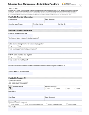 Fillable Online Enhanced Care Management - Patient Care Plan Form ...