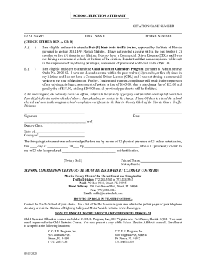 Fillable Online Driving School Affidavit Form Fax Email Print - pdfFiller