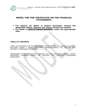 Model for the CFS-Certificate on the financial statements Doc Template ...