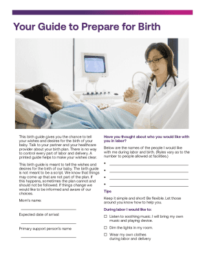 Fillable Online How to Create a Birth Plan: Free Visual Birth Plan ...