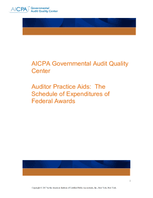 Fillable Online Schedule of Expenditures of Federal Awards Fax Email ...