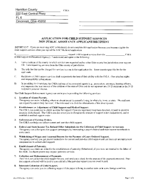 Fillable Online instructions to prepare a custody or companionship ...