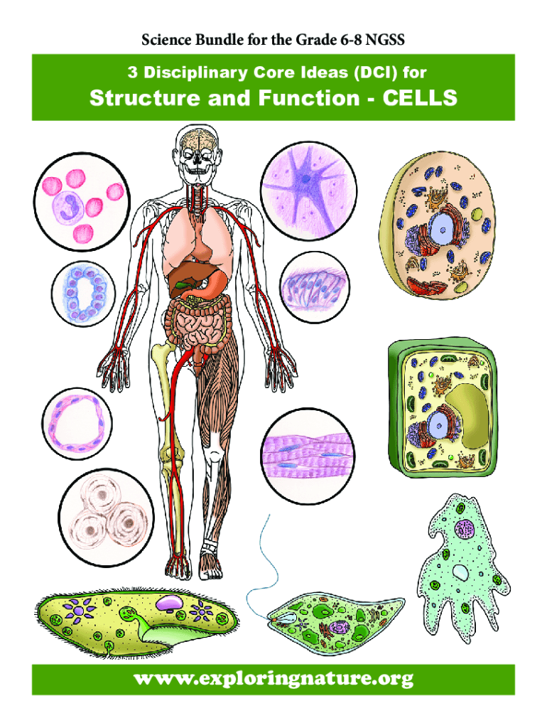 Fillable Online HS-LS1 From Molecules to Organisms: Structures and ...