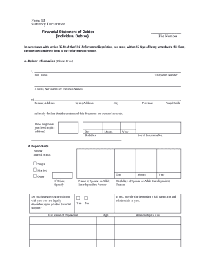 13 - Financial Statement of Debtor - Individual Debtor .docx Doc ...