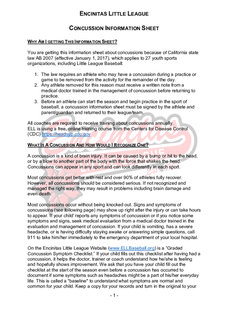 Fillable Online DYFL Concussion Information Sheet Fax Email Print - pdfFiller
