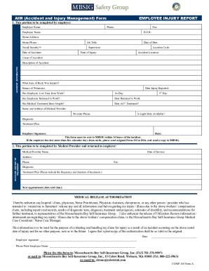 Fillable Online FIRST REPORT OF INJURY OR ILLNESS F/T P/T Fax Email Print - pdfFiller