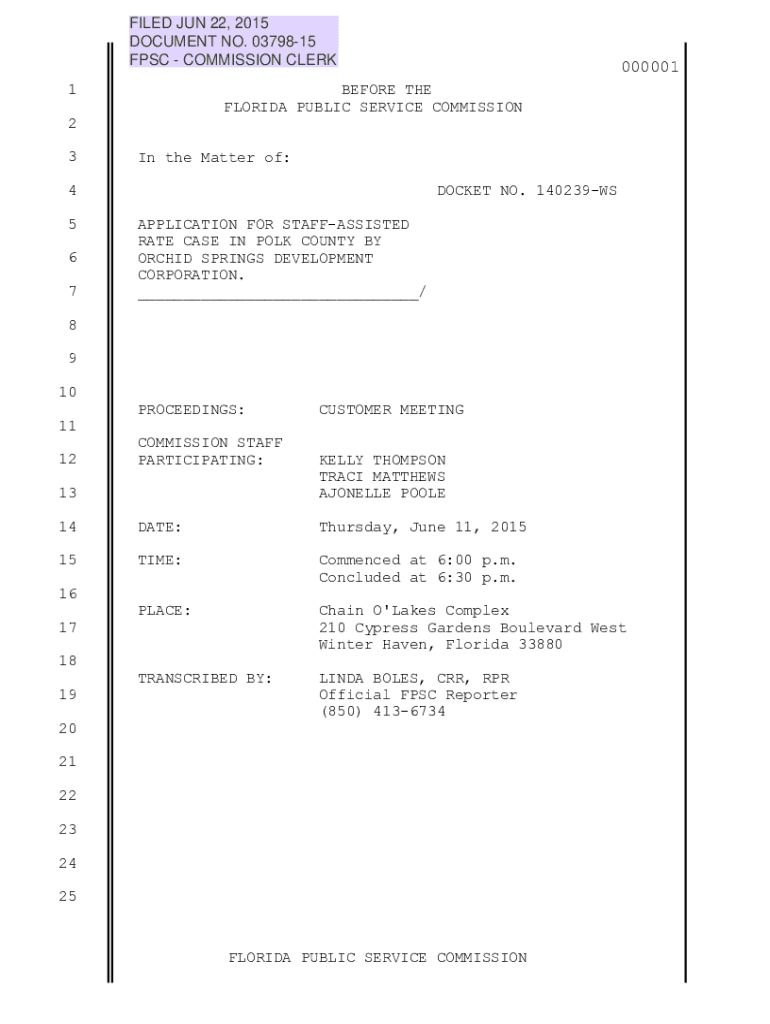 Fillable Online Hillsborough approves a letter to PSC requesting local ... Fax Email Print ...
