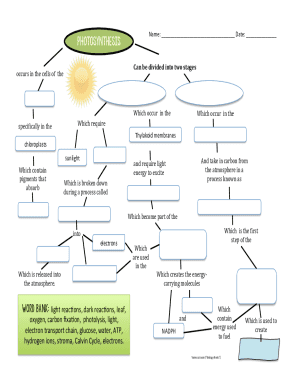 Fillable Online Biology Photosynthesis Worksheets Flashcards Fax Email ...