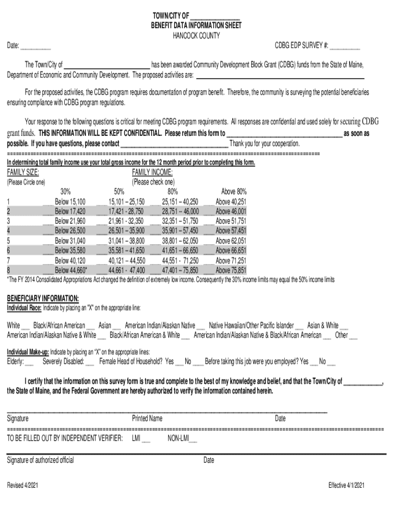 Fillable Online CDBG Low- and Moderate-Income Data Fax Email Print ...