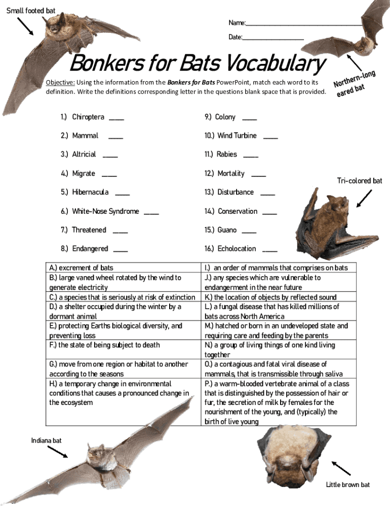 Fillable Online Bonkers for Bats Student Worksheet Answers Fax Email ...