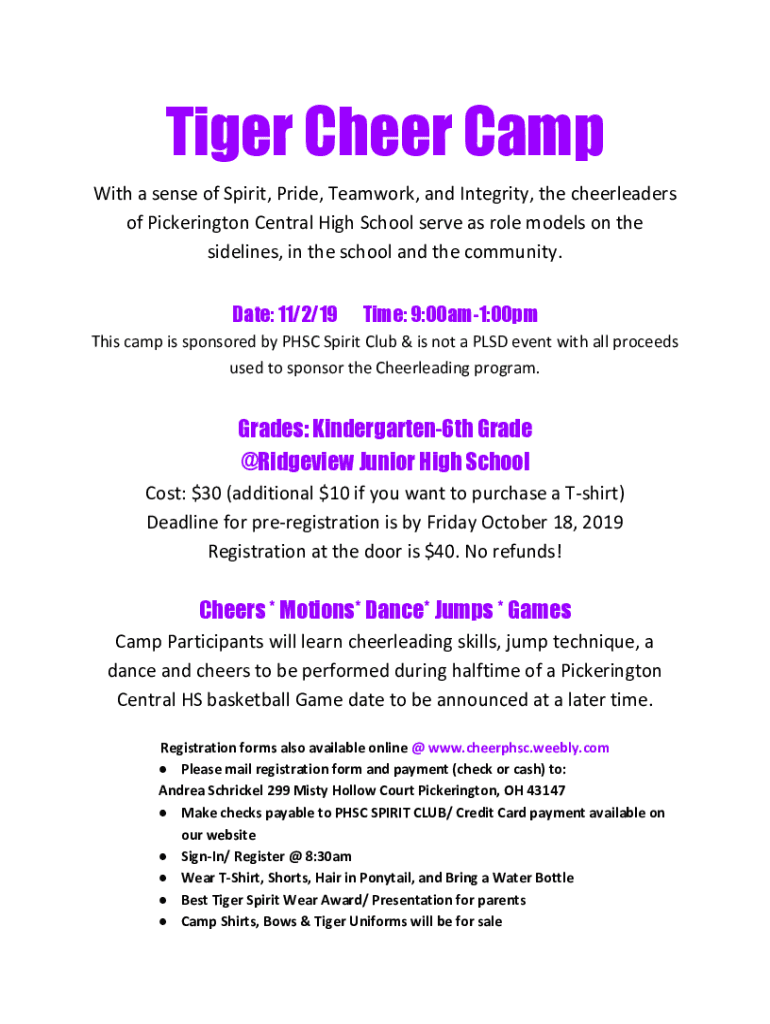 Fillable Online Tiger Cheer Camp year 2.docx Fax Email Print - pdfFiller