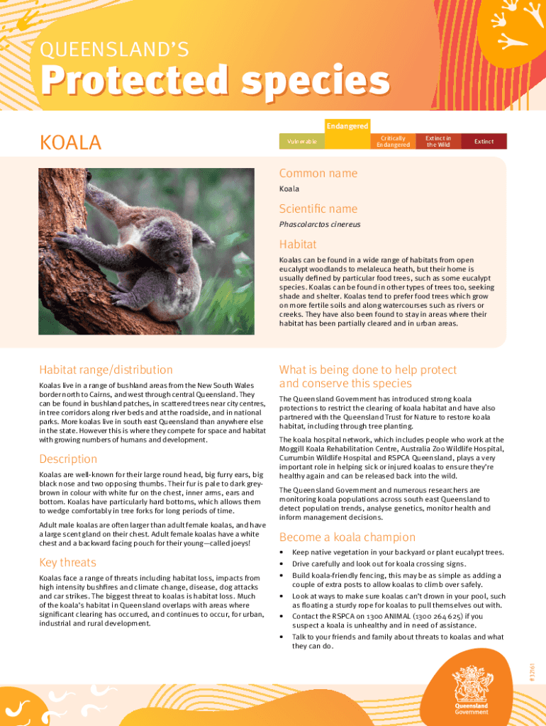 Fillable Online Queensland's Protected species - Koala activity sheet ...