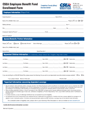 Fillable Online Csea Form - Fill Online, Printable, Fillable, Blank Fax ...