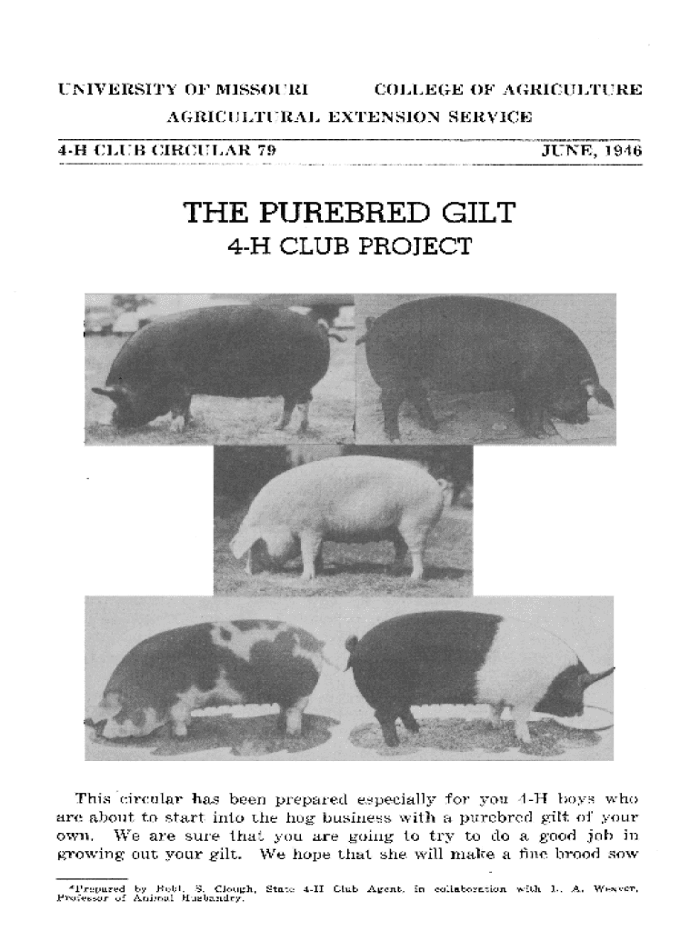 Fillable Online THE 4-H PIG CLUB Fax Email Print - pdfFiller