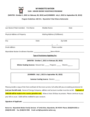 Fillable Online Low Income Home Energy Assistance Program (LIHEAP ...