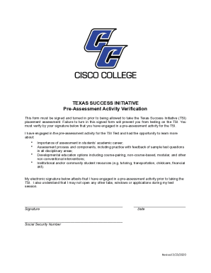 Fillable Online TEXAS SUCCESS INITIATIVE Pre-Assessment Activity ...