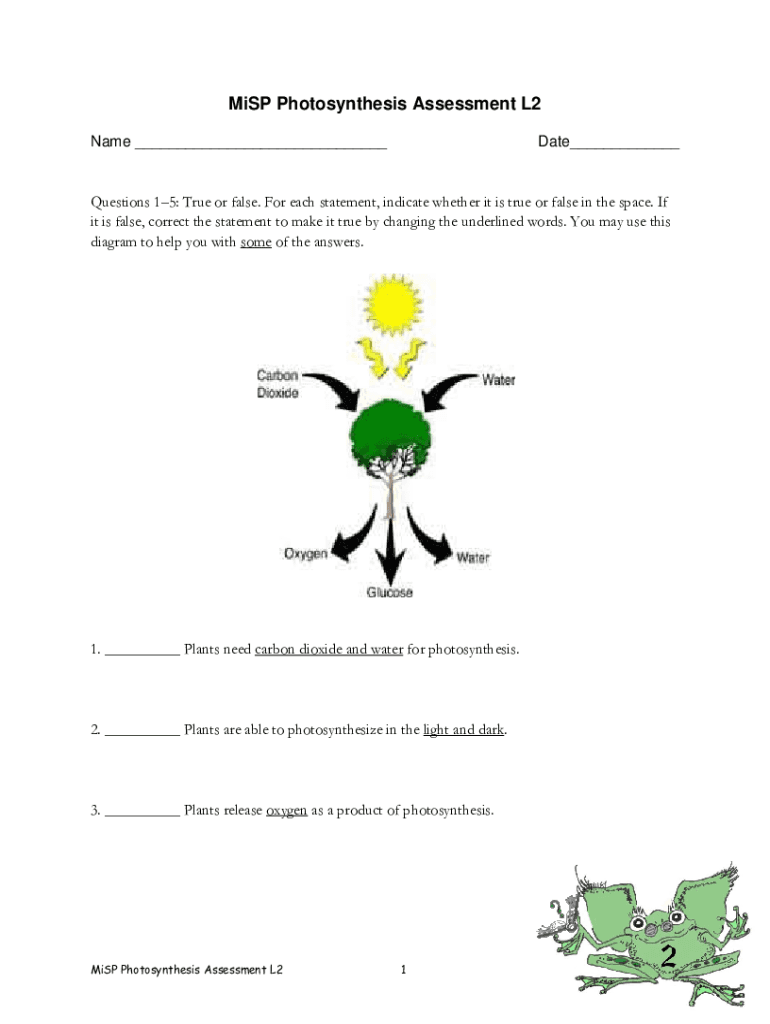 Fillable Online Photosynthesis.AssessmentL2051613 ES.docx Fax Email ...
