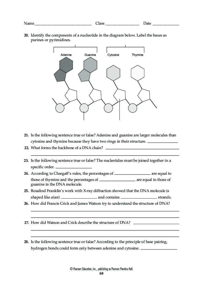 Fillable Online Identify the components of a nucleotide in the diagram ...