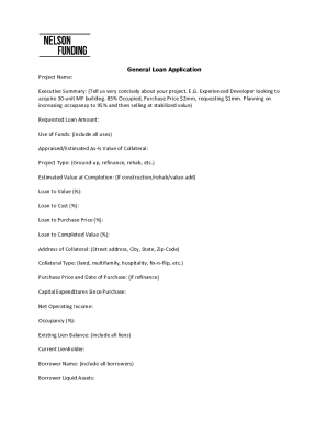 Fillable Online General Loan Application Project Name: Executive ...